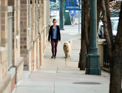 Dog Walker Cover Letter [Step-by-Step Guide with Template]