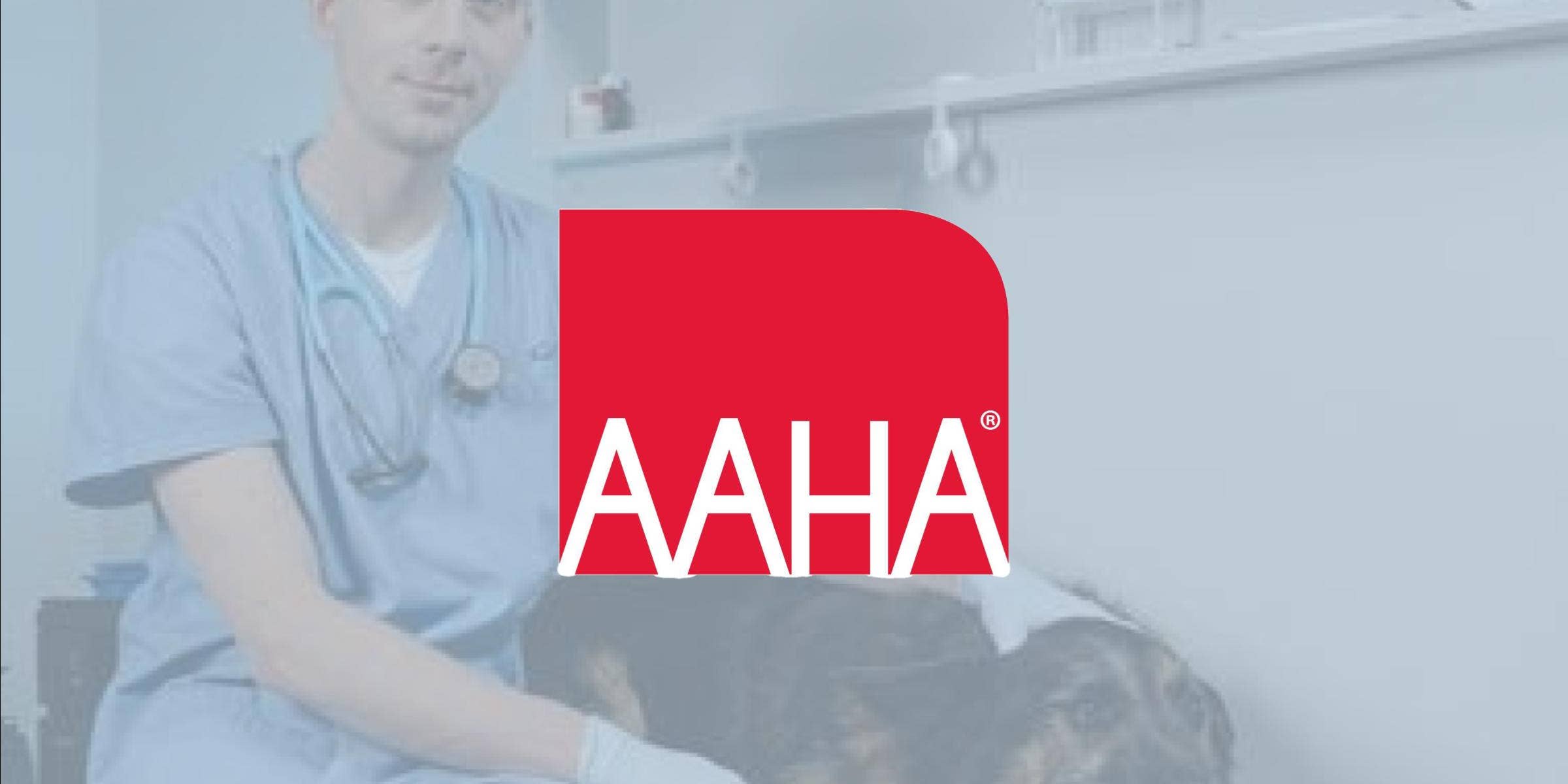 American Animal Hospital Association Career Center