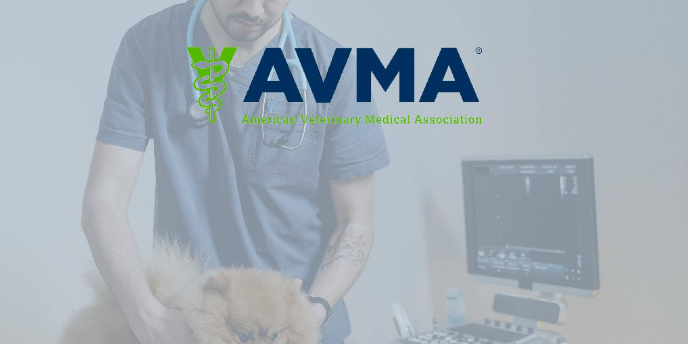 AVMA Veterinary Career Center Review With Pricing, Alternatives, and FAQs