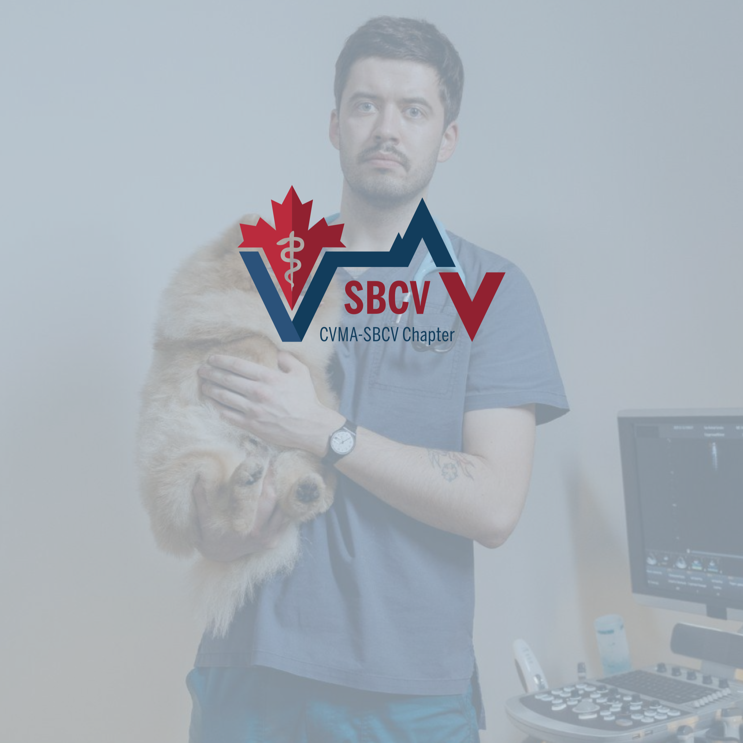 CVMA-SBCV Chapter Job Board