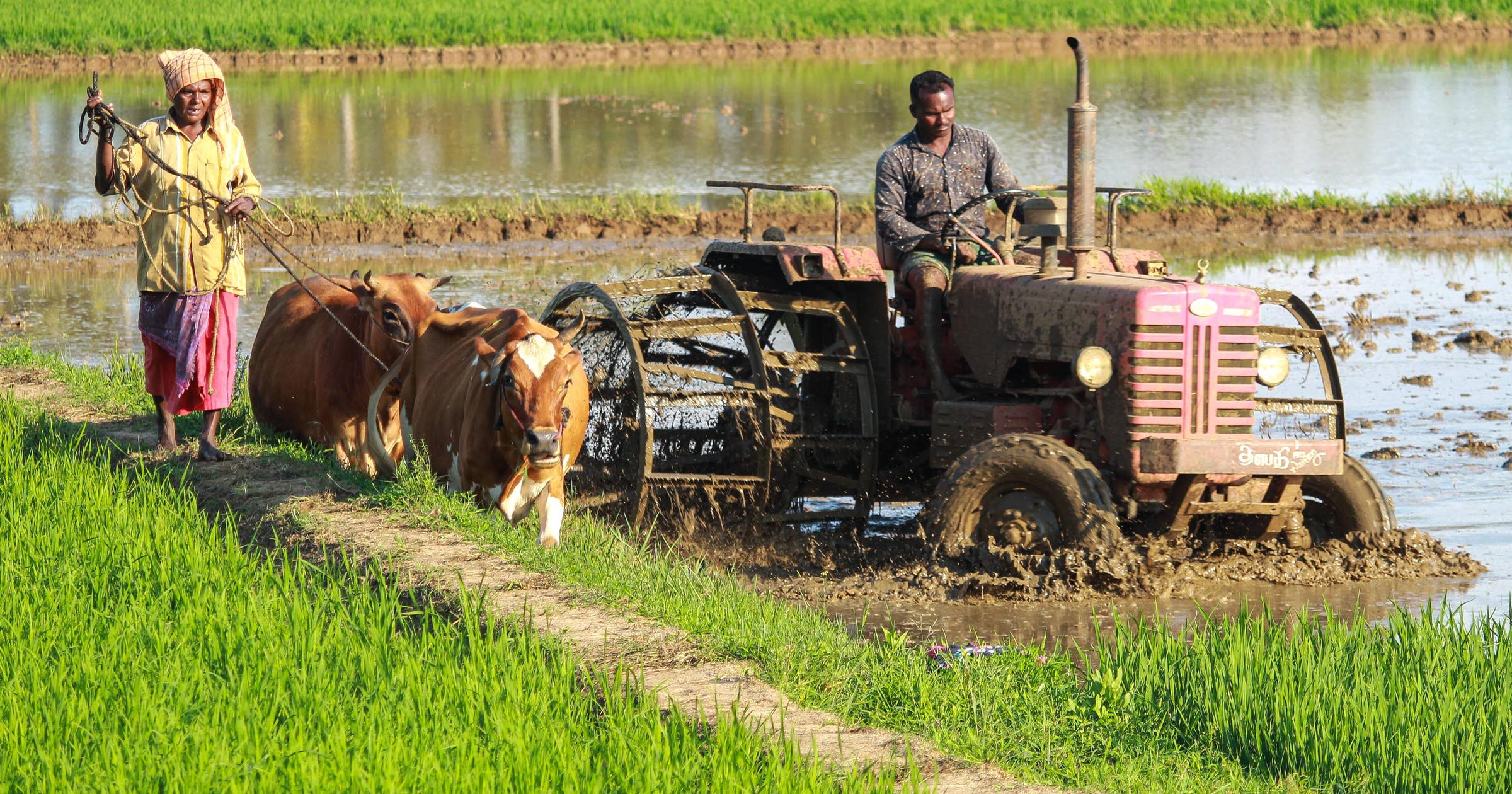 Farming, Animals, and Conservation Job Descriptions