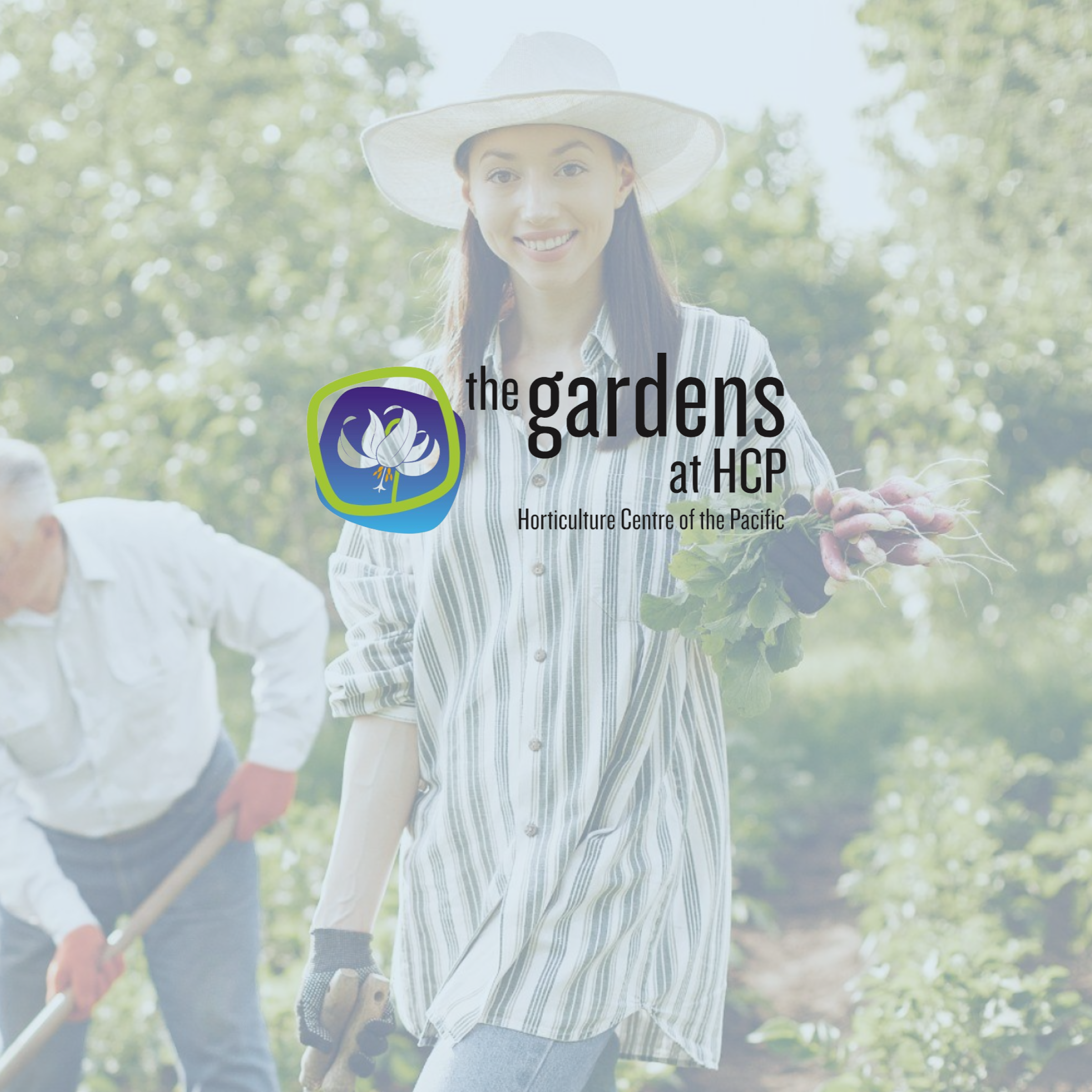 HCP Job Board Review With Pricing, Alternatives, and FAQs