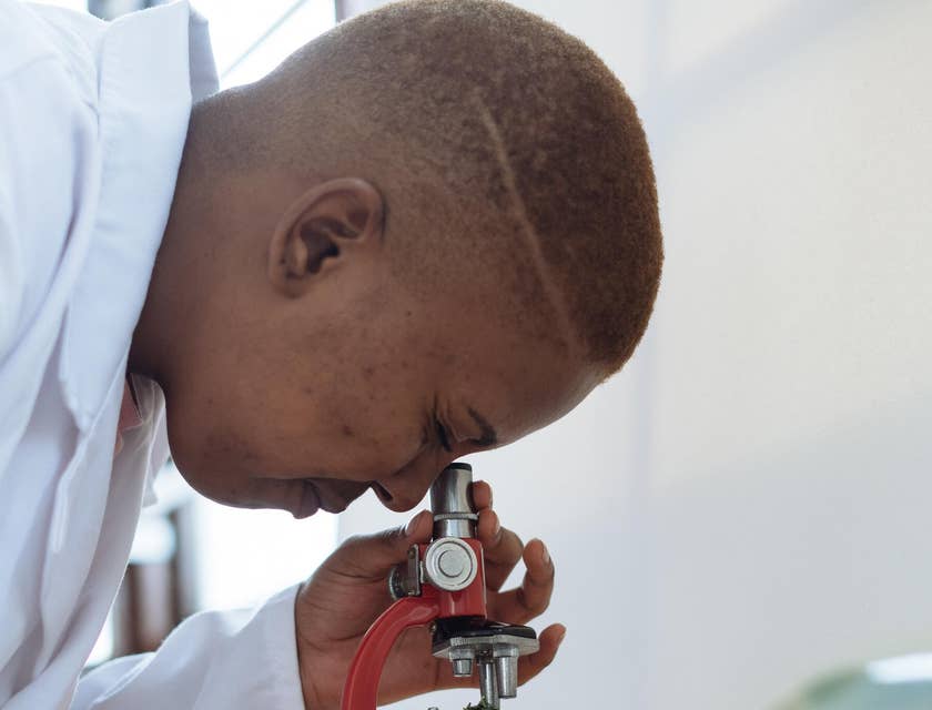 How to Find Medical Technologists How to Find Medical Technologists