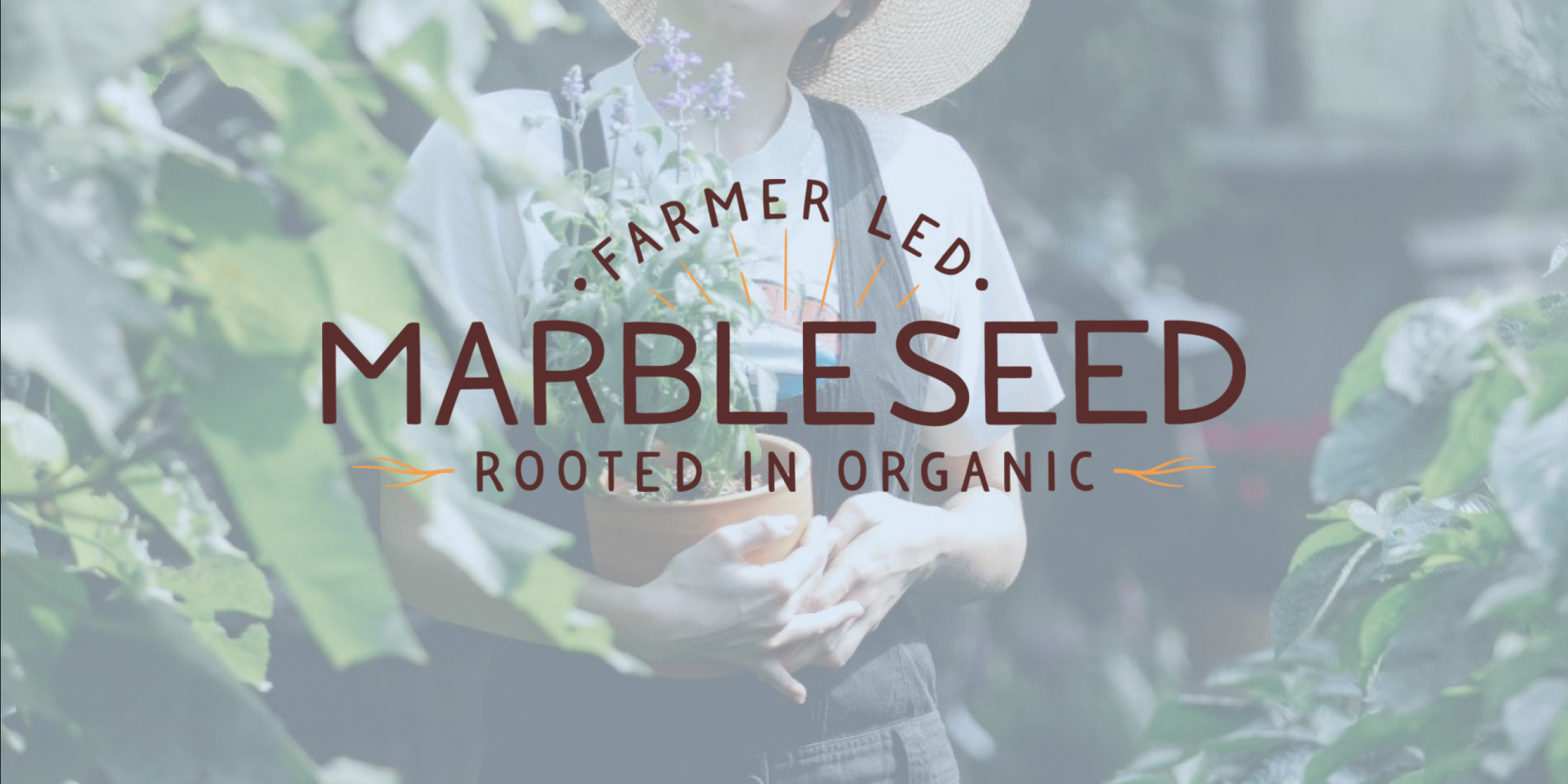 Marbleseed Job Board Review With Pricing, Alternatives, and FAQs