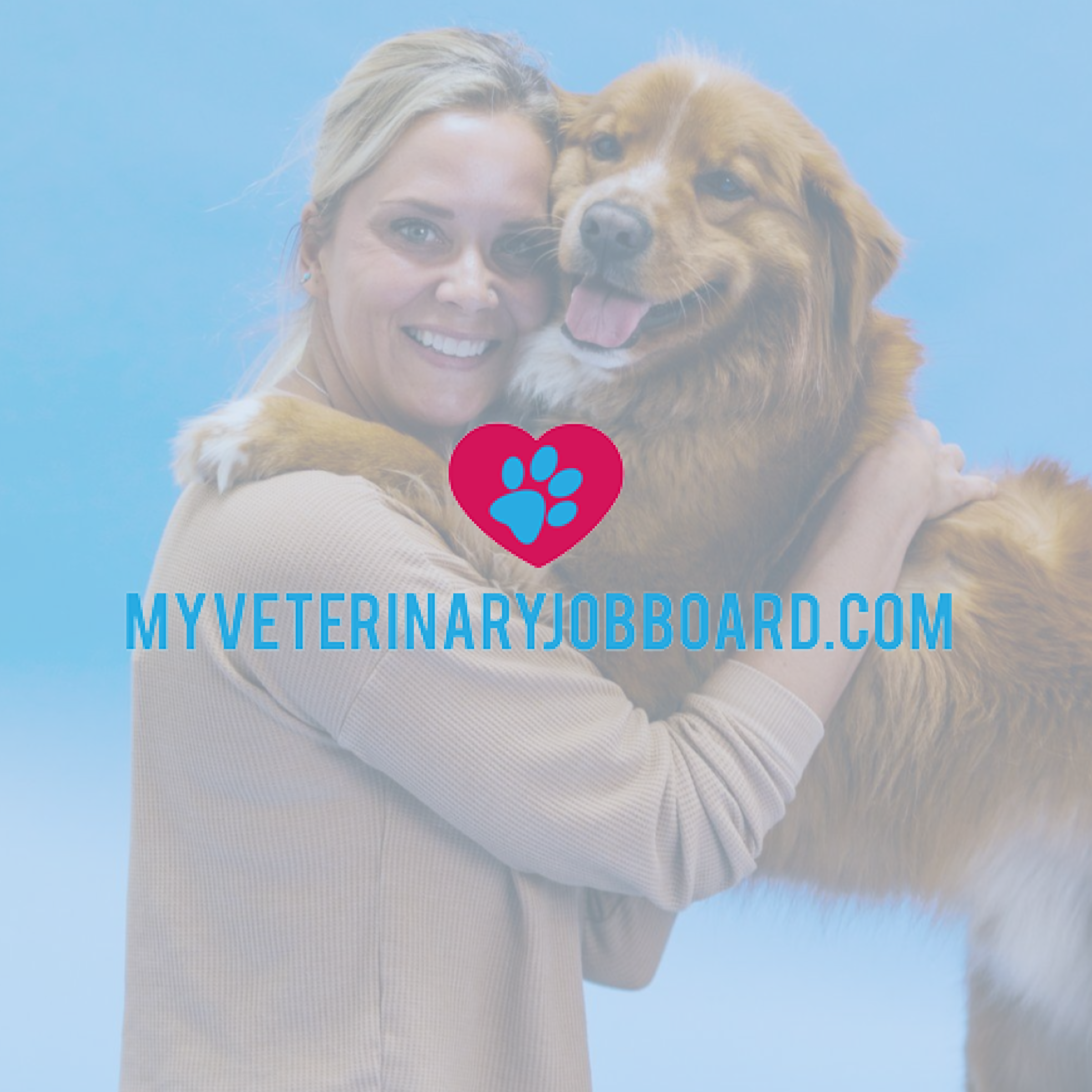 My Veterinary Job Board