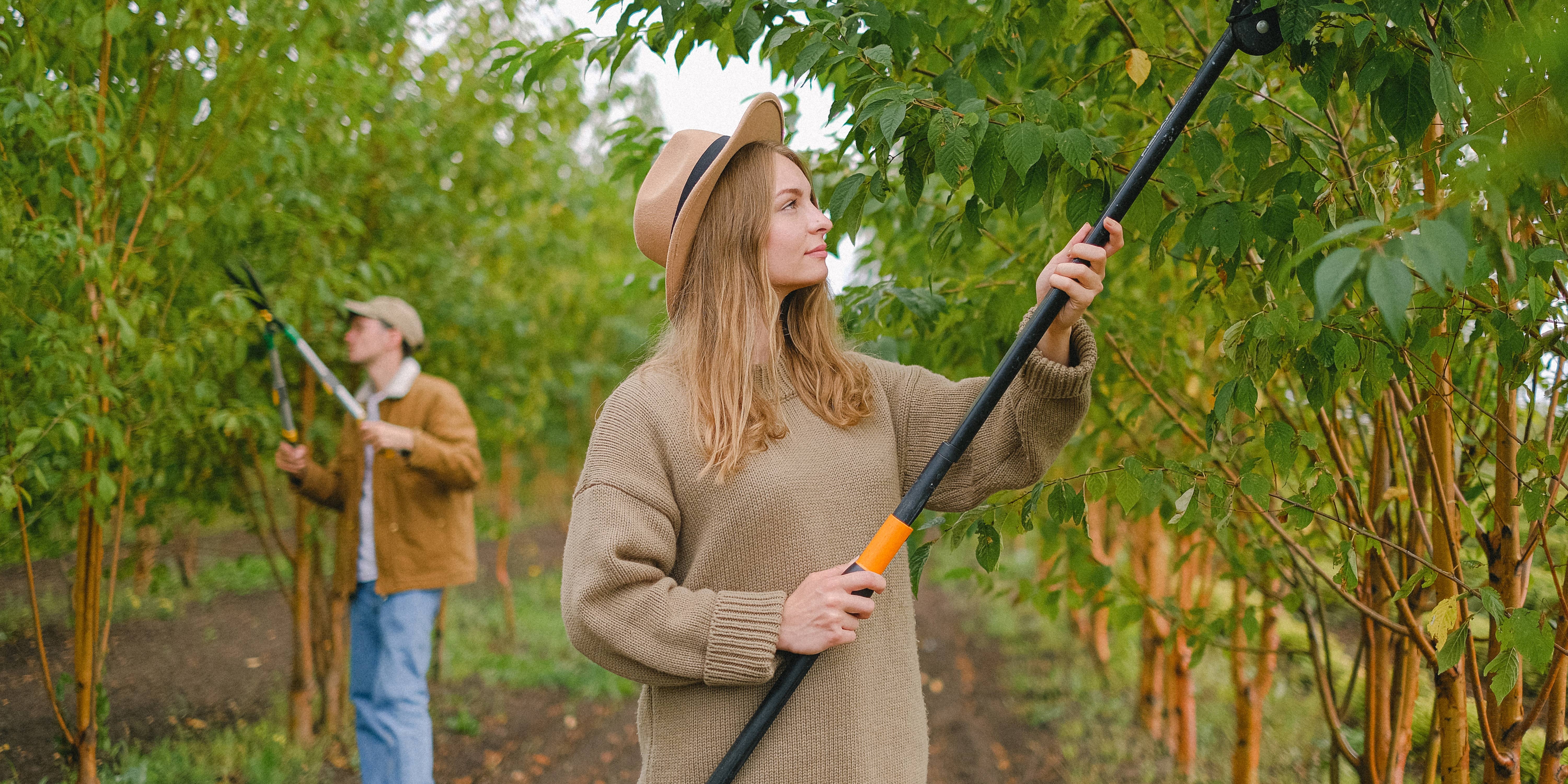 The Best Job Boards for Hiring Seasonal Workers