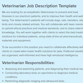 How to Hire a Veterinarian