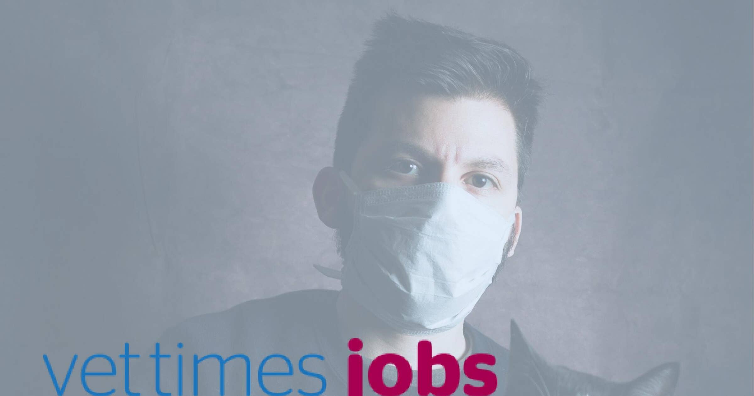 Vet Times Jobs