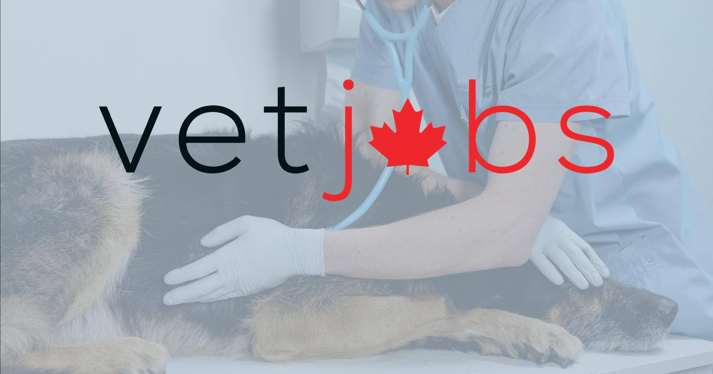 Vetjobs Canada