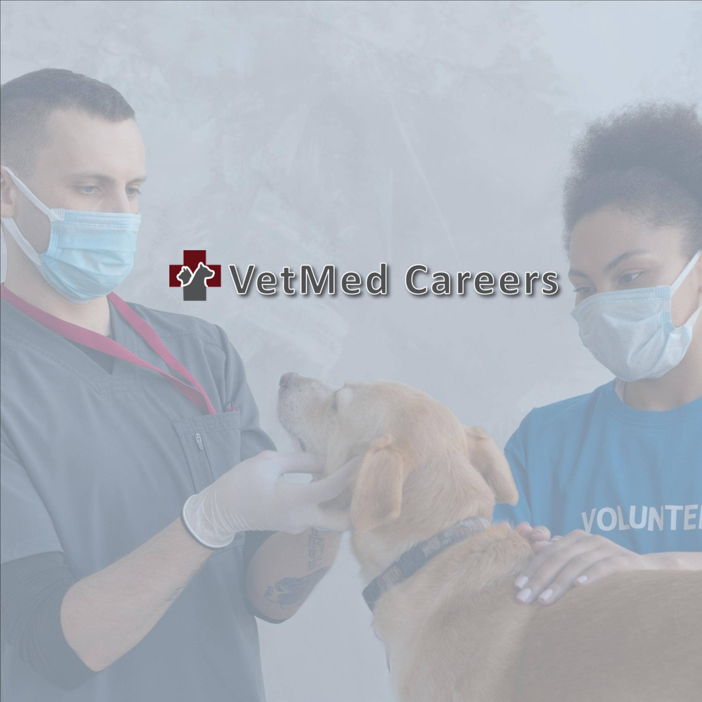 VetMed Careers
