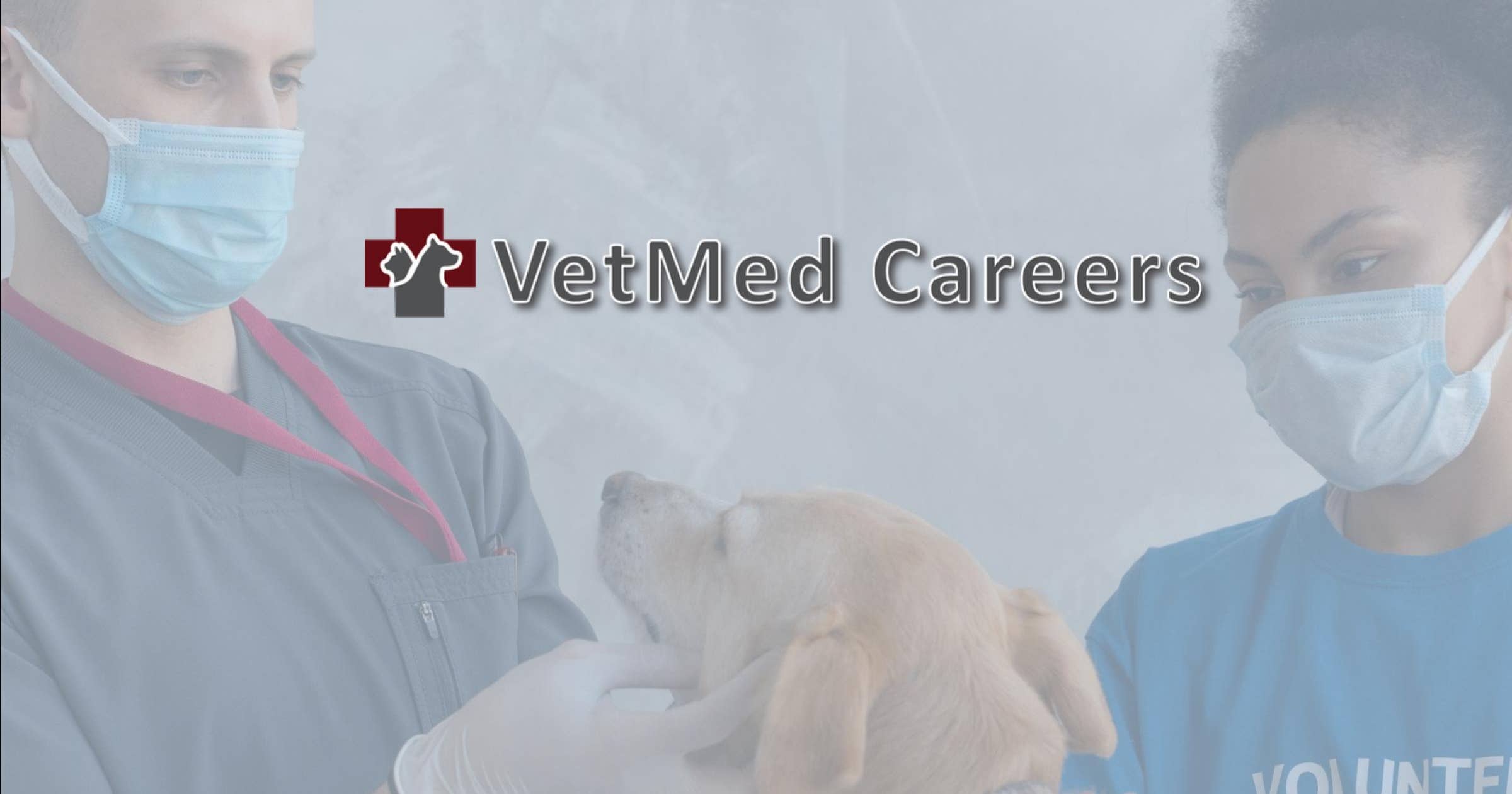 VetMed Careers