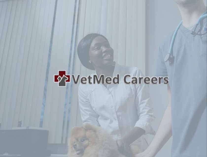 VetMed Careers