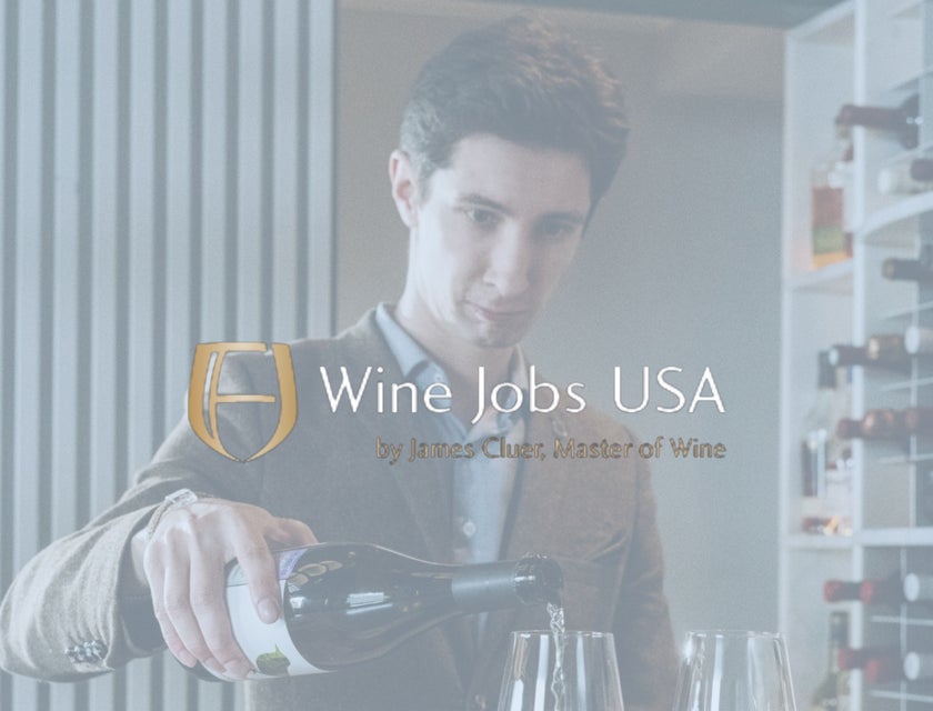 Wine Jobs USA wine-jobs-usa