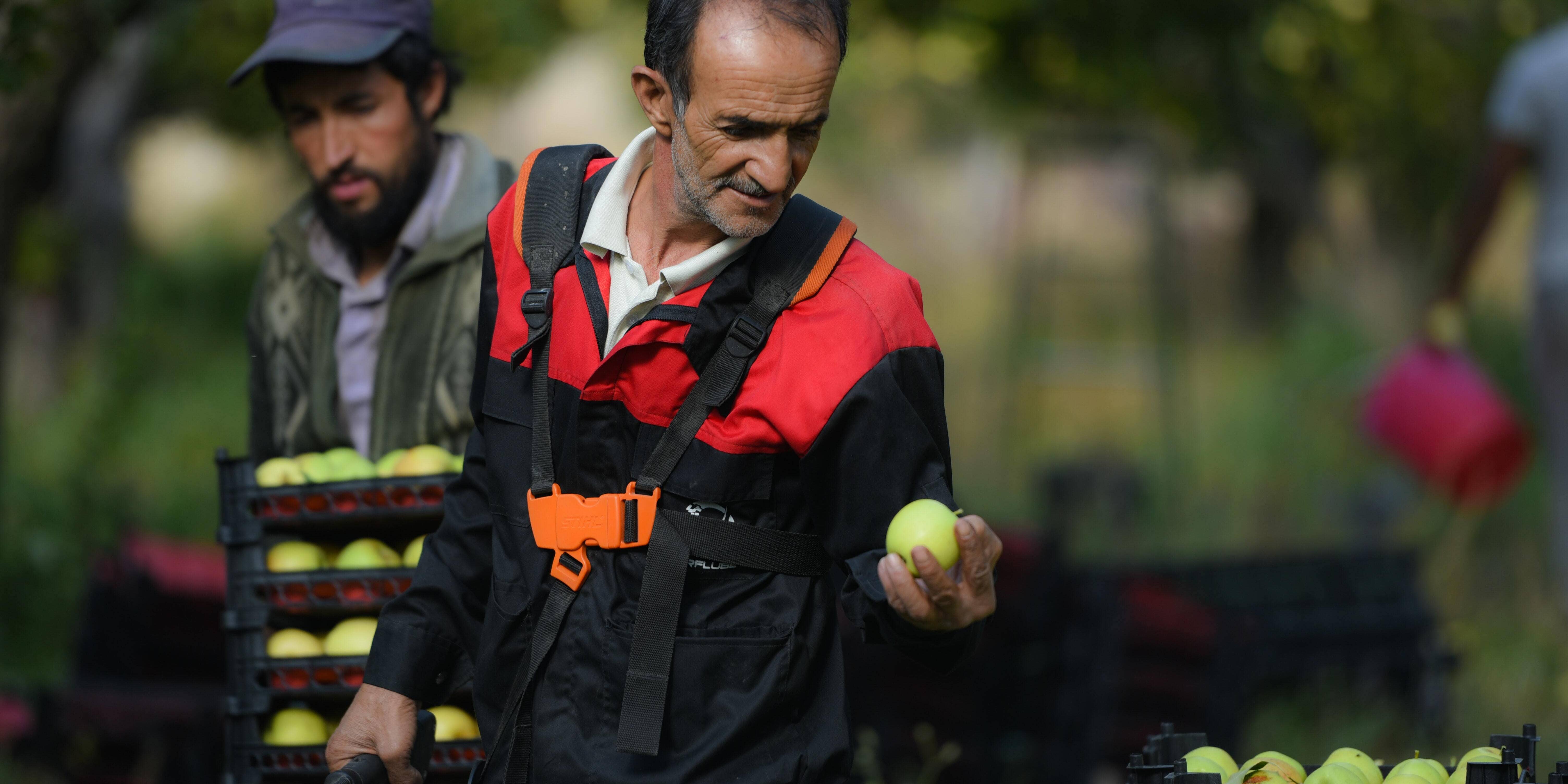 Farm Manager Interview Questions