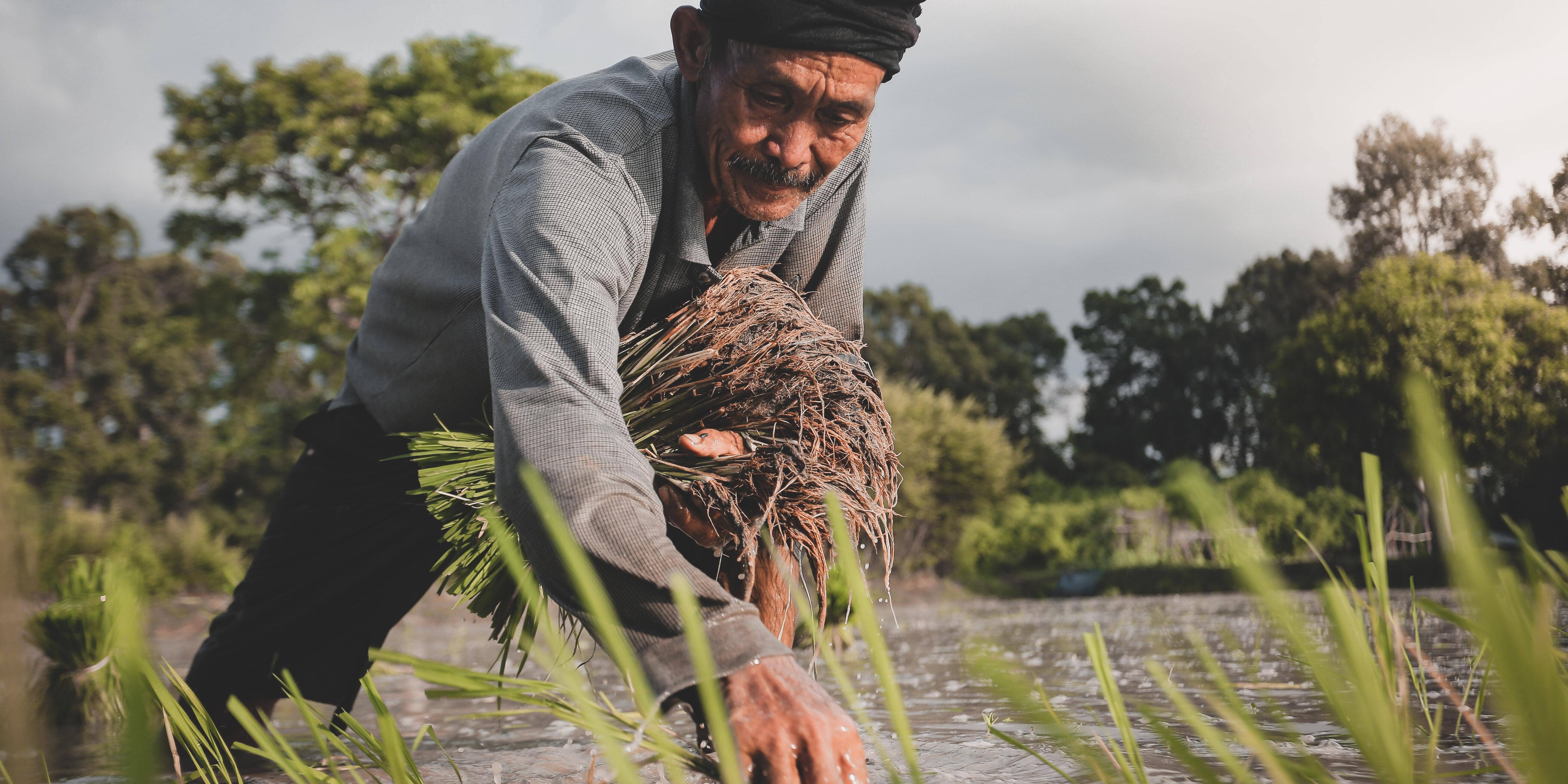 Farmer Interview Questions