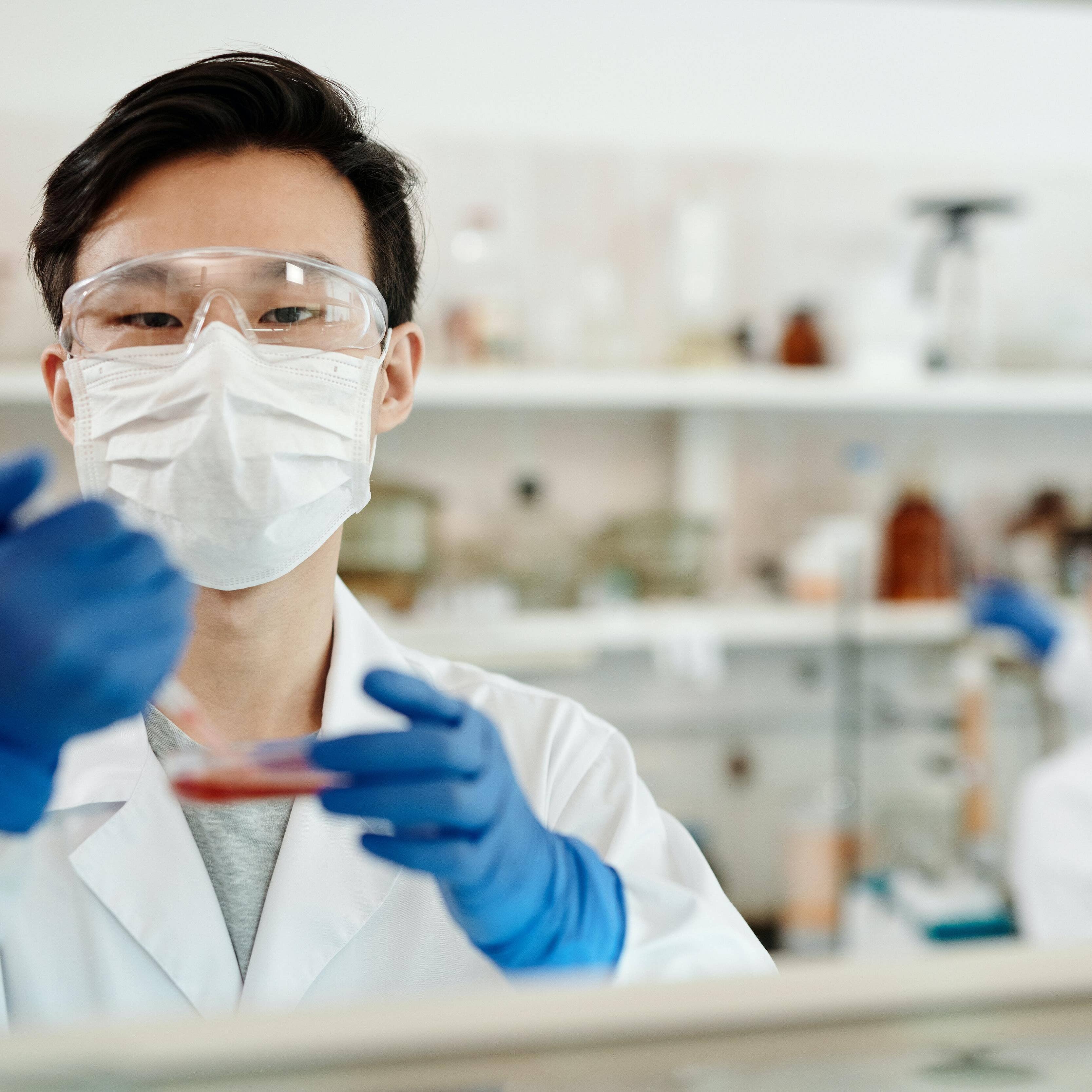 Zoologist At Work In The Lab