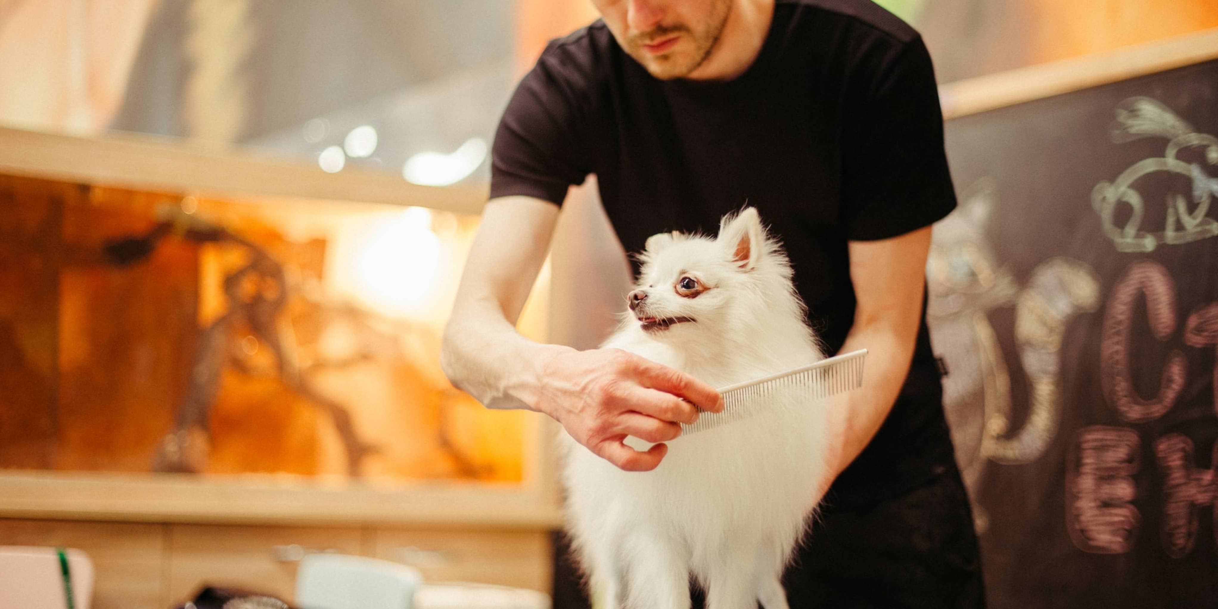 Pet Groomer Job Description