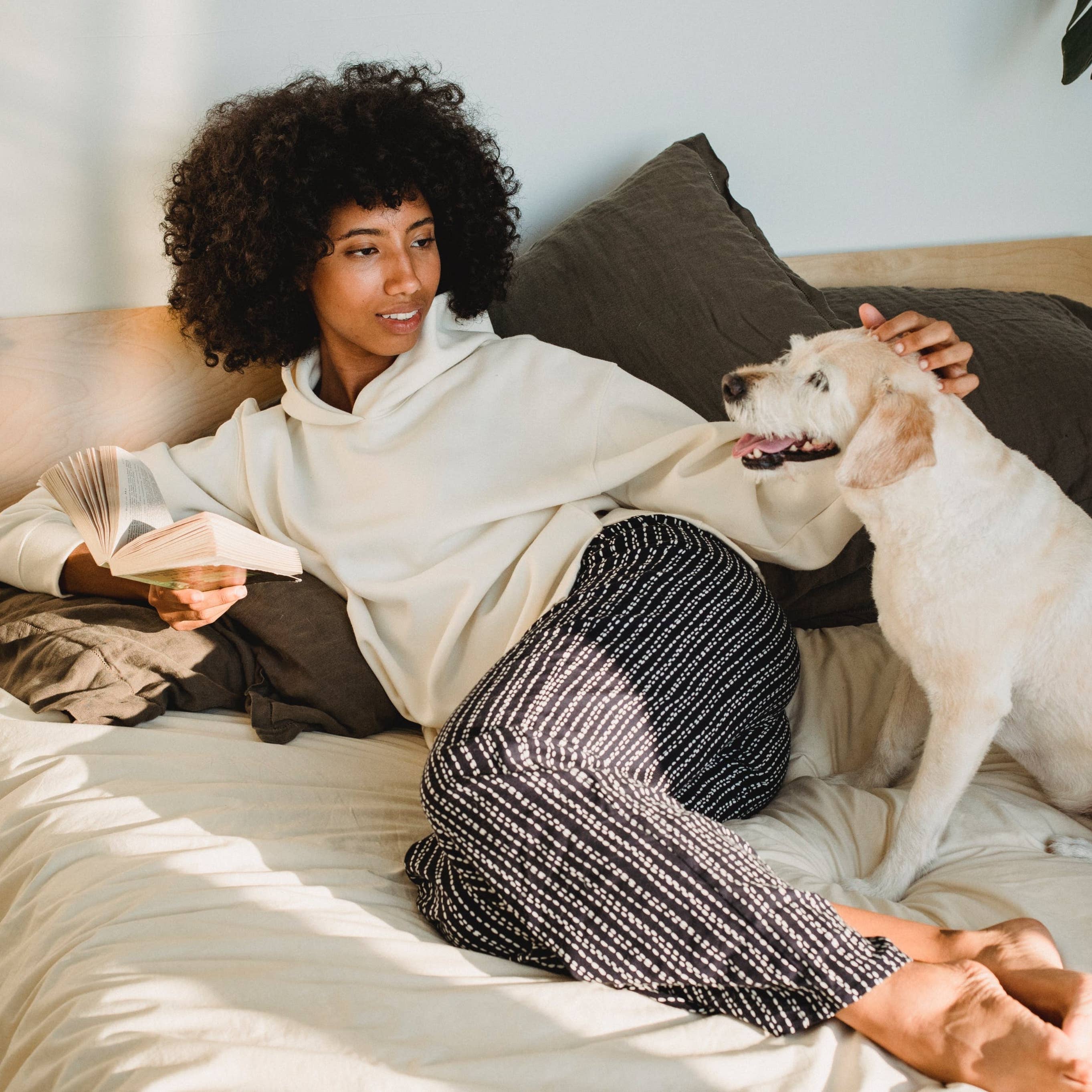 What Are The Responsibilities Of Taking Care Of A Dog