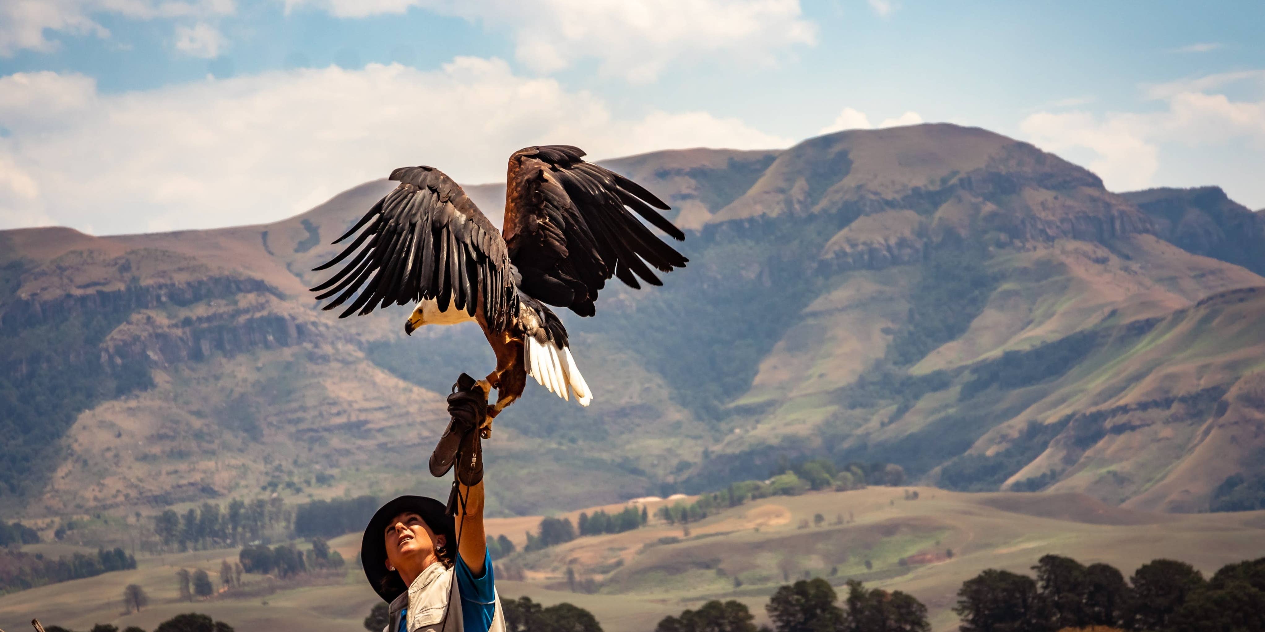 Zoologist Job Description